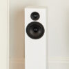 Bison Tower - Totem Acoustic Loudspeakers