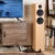 Bison Twin Tower - Totem Acoustic Loudspeakers