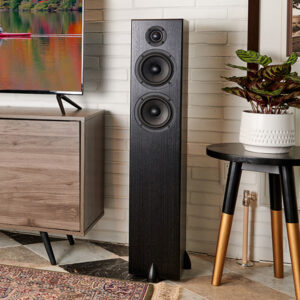 Bison Twin Tower - Totem Acoustic Loudspeakers