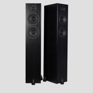 Bison Twin Tower - Totem Acoustic Loudspeakers
