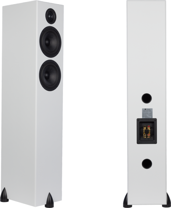 Bison Twin Tower - Totem Acoustic Loudspeakers