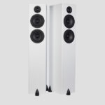 Bison Twin Tower - Totem Acoustic Loudspeakers