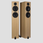 Bison Twin Tower - Totem Acoustic Loudspeakers