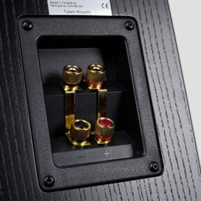 Bison Twin Tower - Totem Acoustic Loudspeakers